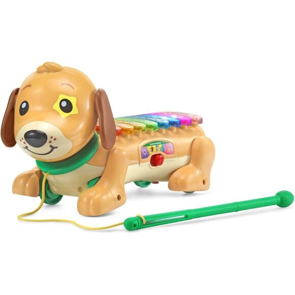vtech | Toys | Vtech Zoo Jamz Xylophone Musical Instrument Dog | Poshmark